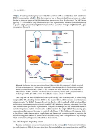 Advancements in Nucleic Acid Based Therapeutics against Respiratory ...