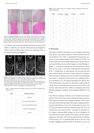 Biomathematical Analysis of the Liver Fibrosis | PDF