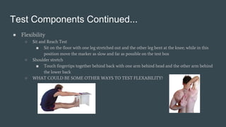 Fitness testing | PPT