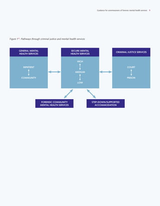 Guidance for commissioners of forensic mental health services | PDF