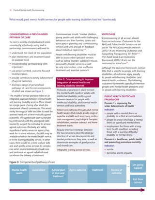 Guidance for commissioners of mental health services for people with ...
