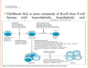 Jc, Ph-like acute lymphoblastic leukemia (ALL) | PPT