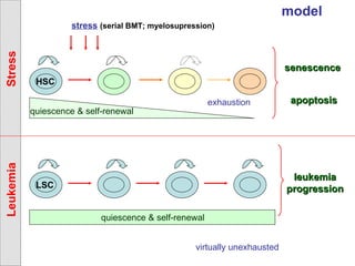 Jc Rethinking Of Hsc Assays | PPT | Blood Disorders | Diseases and ...