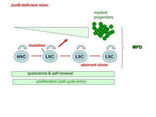 Jc Rethinking Of Hsc Assays | PPT | Blood Disorders | Diseases and ...