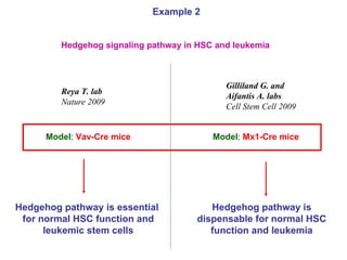 Jc Rethinking Of Hsc Assays | PPT | Blood Disorders | Diseases and ...