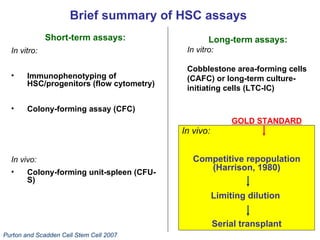 Jc Rethinking Of Hsc Assays | PPT | Blood Disorders | Diseases and ...