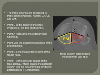 ortho journal club by Dr. Amit Motwani | PPTX