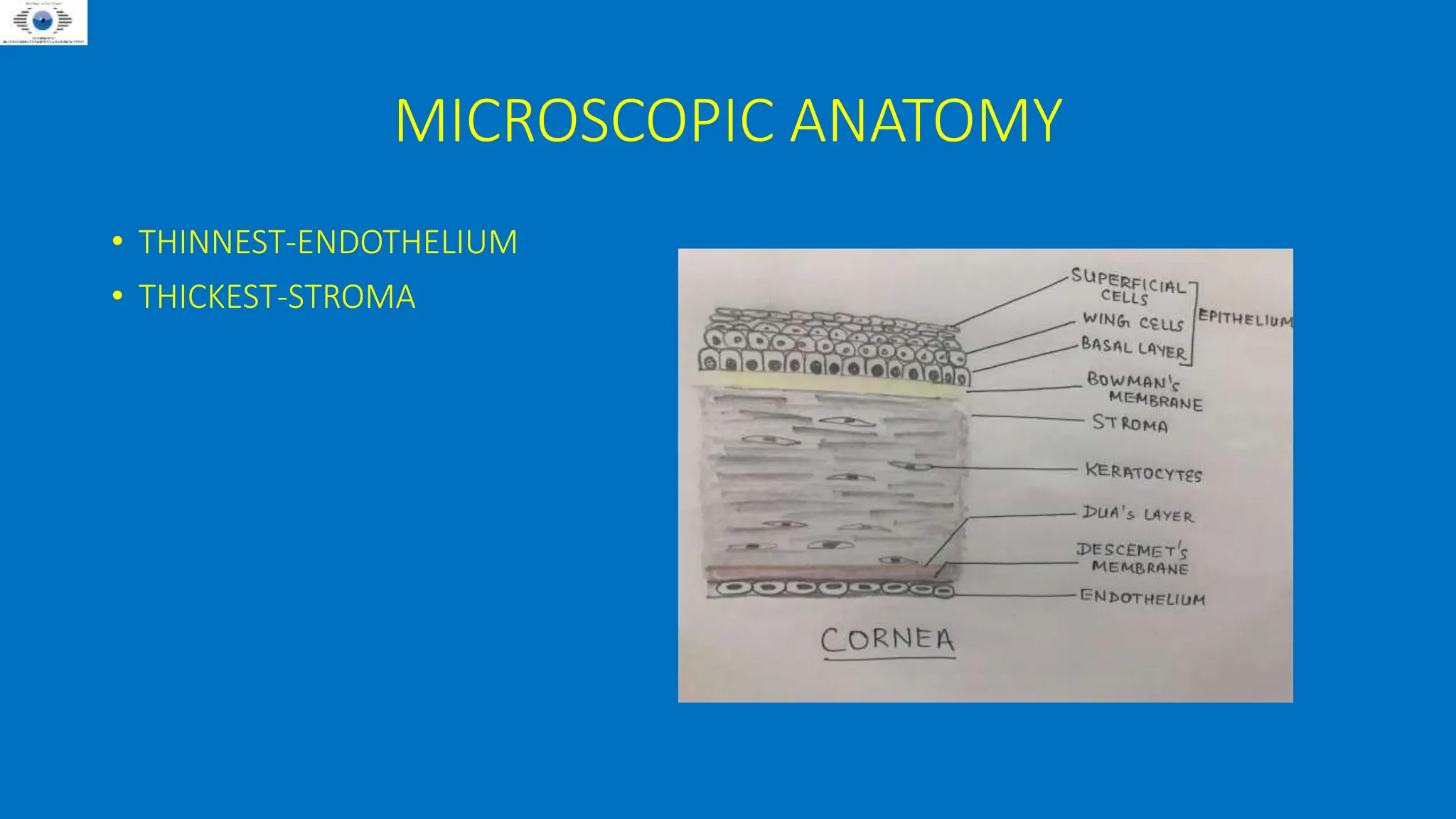 ANATOMY_OF_CORNEA presentation dhir.pptx