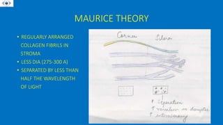 ANATOMY_OF_CORNEA presentation dhir.pptx