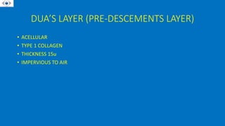 ANATOMY_OF_CORNEA presentation dhir.pptx