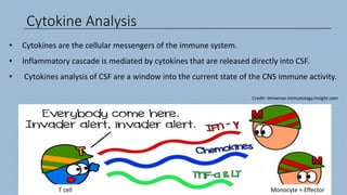 Pathology of JC Virus | PPTX