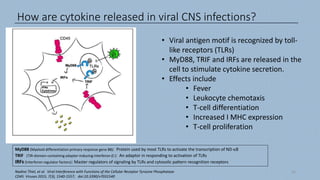 Pathology of JC Virus | PPTX