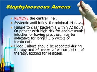 crbsi2.ppt