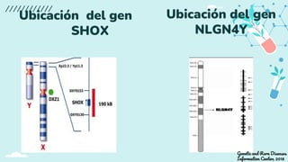Dicertación síndrome del súper hombre | PPTX