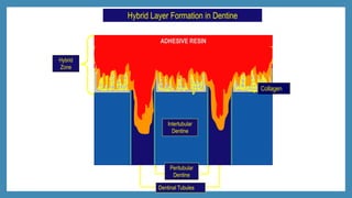 C-factor - JOURNAL DISCUSSION | PPTX