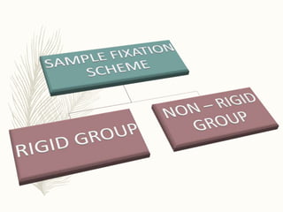 OPEN REDUCTION AND INTERNAL FIXATION OF COMBINED ANGLE AND BODY ...