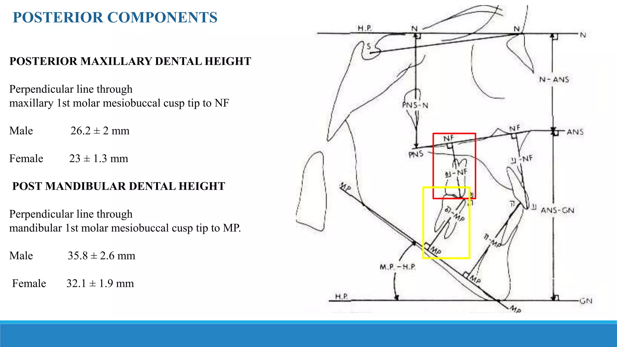 COGS Burstone analysis for orthognathic surgery | PPTX