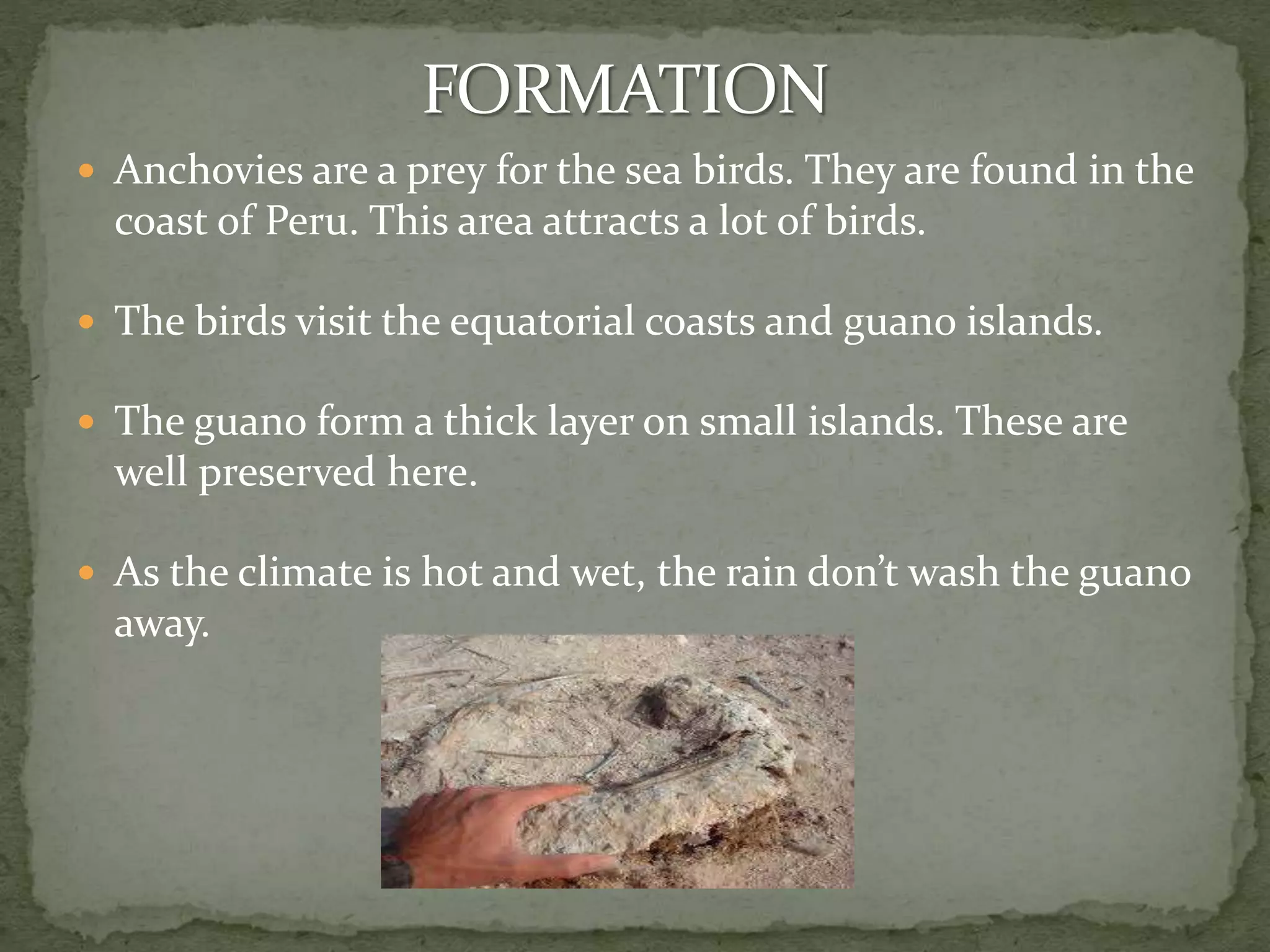 Guano islands | PPTX