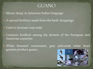 Guano islands | PPTX
