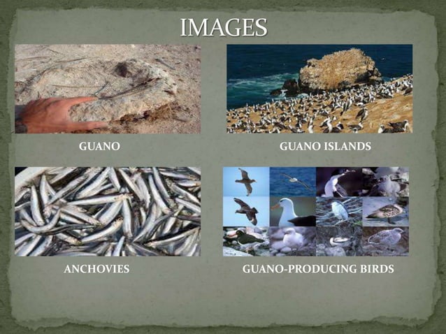 Guano islands | PPT