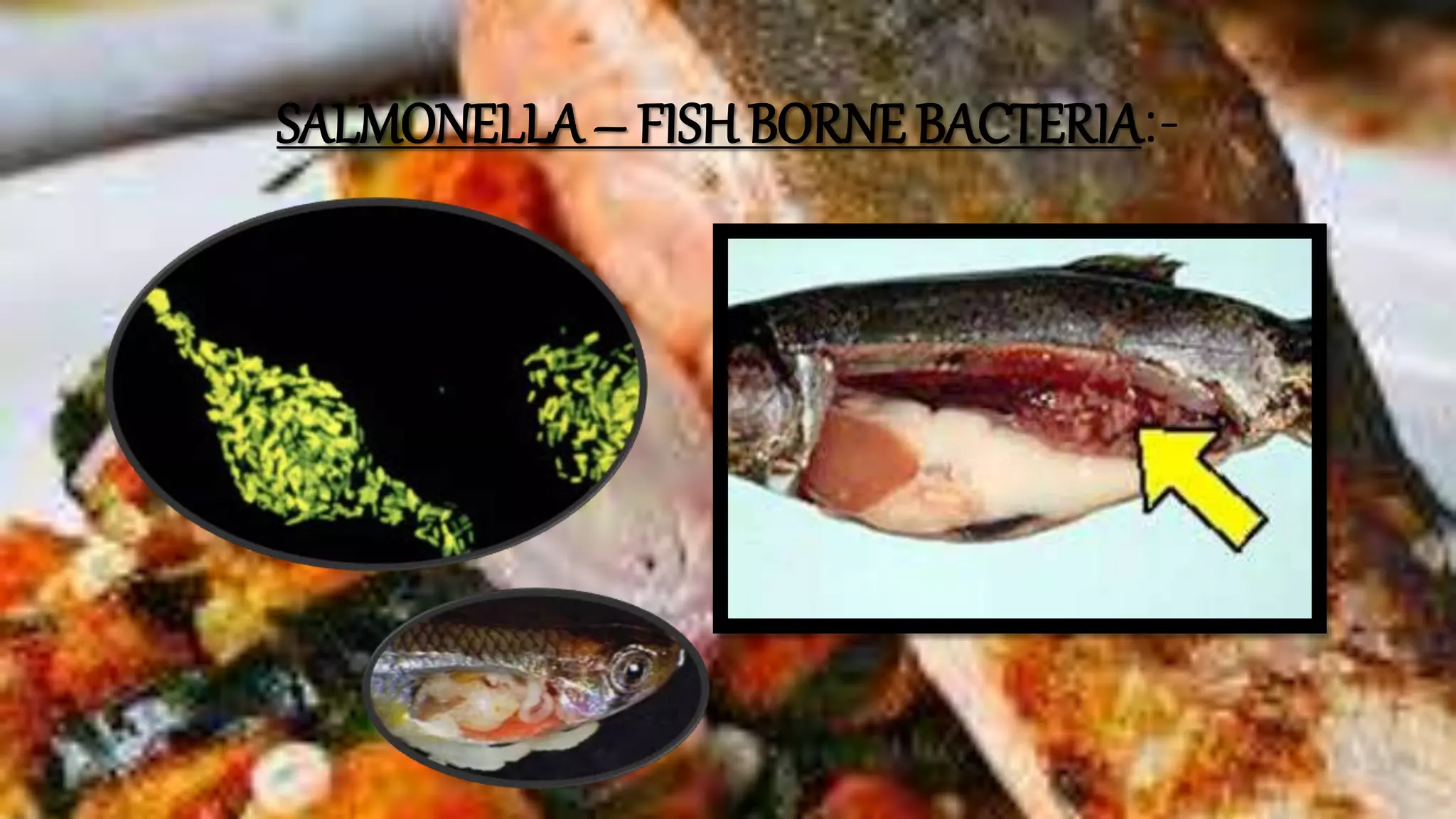 Fish processing ppt abitha francis 18003 uef02 priciples of caning and ...