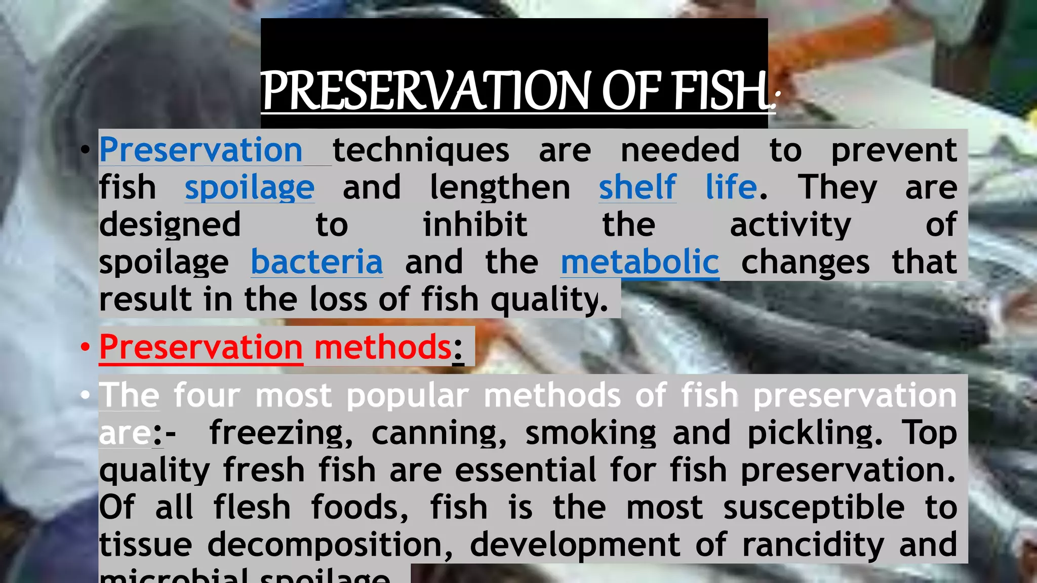 Fish processing ppt abitha francis 18003 uef02 priciples of caning and ...