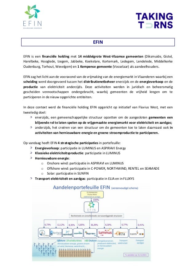 JD Financieel Directeur Efin - Taking Turns | PDF