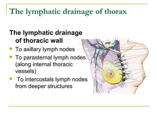 Thoracic cavity lecture engl. | PPT