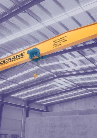 JDN Monocrane - The Leader in Cranes | PDF