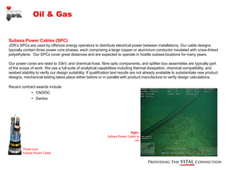 JDR Corporate Presentation | PDF