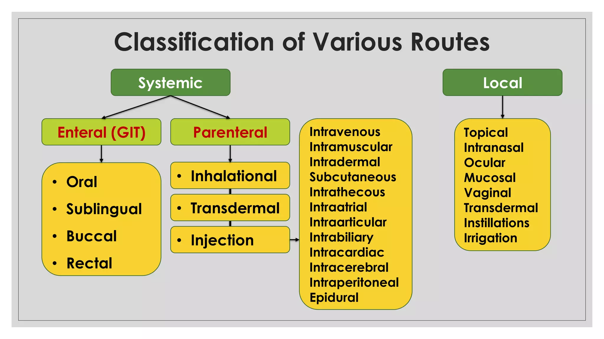 Routes of drug administration | PDF