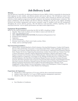 JDRR Job Delivery Lead.pdfJDRR Job Delivery Lead.pdf