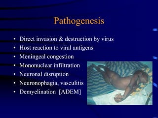 Encephalitis - Dr. P. Soundararajan | PPTX | Infectious Diseases ...