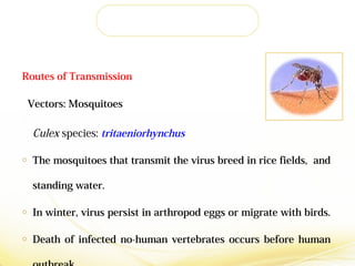 Japanese Encephalitis | PPT