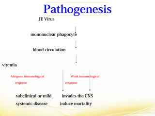 Japanese Encephalitis | PPT
