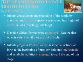 jeanpiagettheoryofcognitivedevelopment.pptx | Parenting Babies and ...