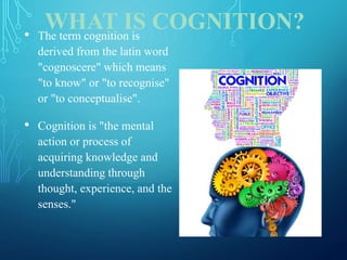 jeanpiagettheoryofcognitivedevelopment.pptx | Parenting Babies and ...