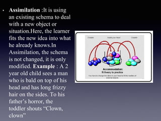 Jean Piaget: Theory of Cognitive Development | PPTX