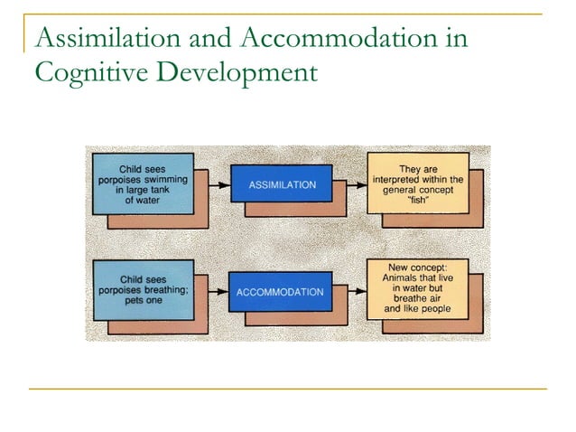 Jeanpiagetscognitivetheory | PPT