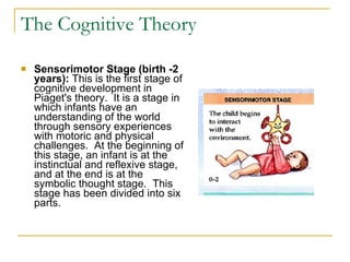 Jeanpiagetscognitivetheory | PPT