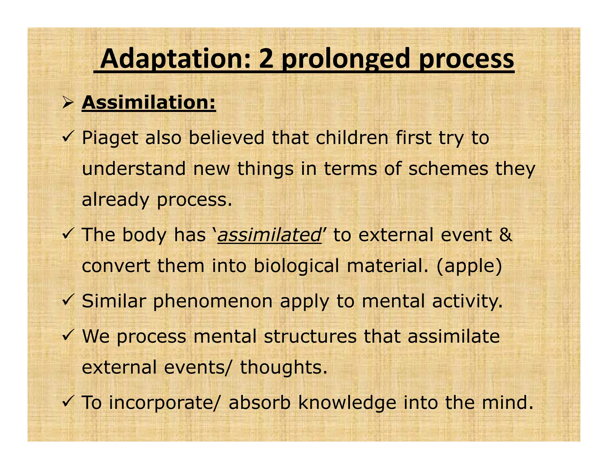 Jean piaget's theory | PDF
