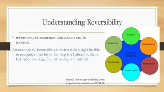 Reversibility Piaget