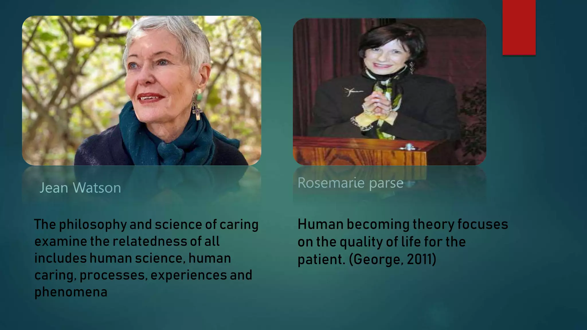 jean watson ppt.pptx