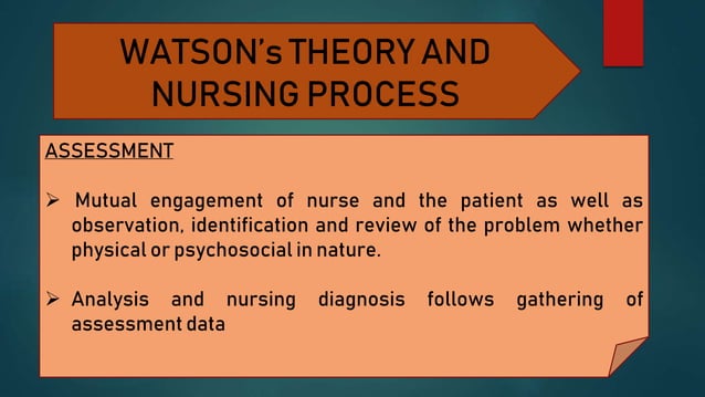 jean watson ppt.pptx