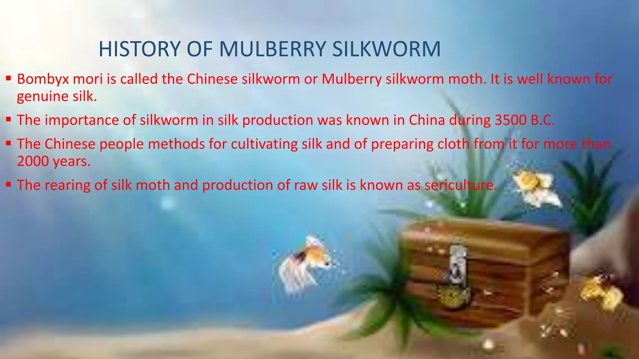 Silkworm | PPTX