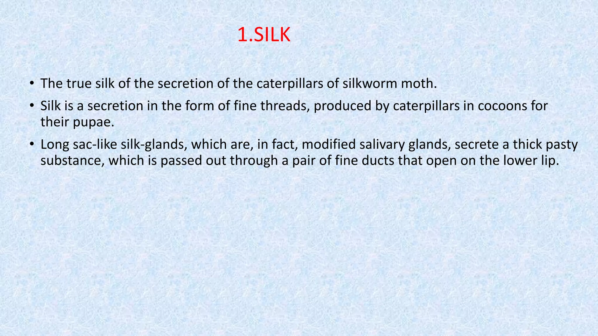 Silkworm | PPTX