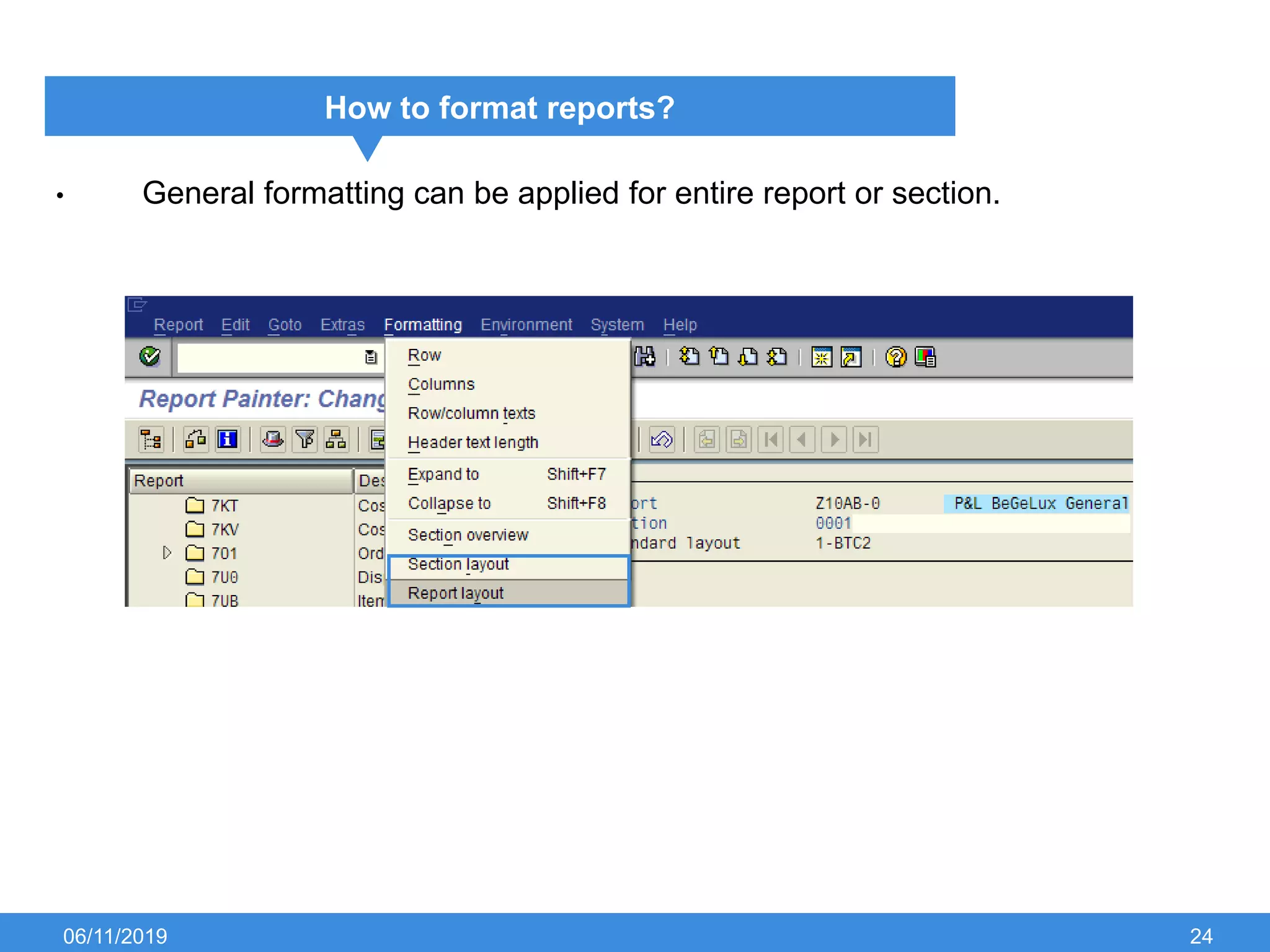Report Painter in SAP: Introduction | PDF