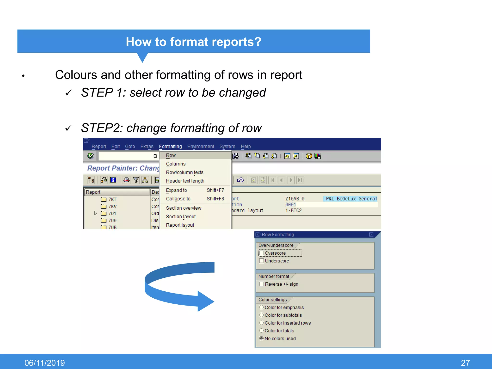Report Painter in SAP: Introduction | PDF