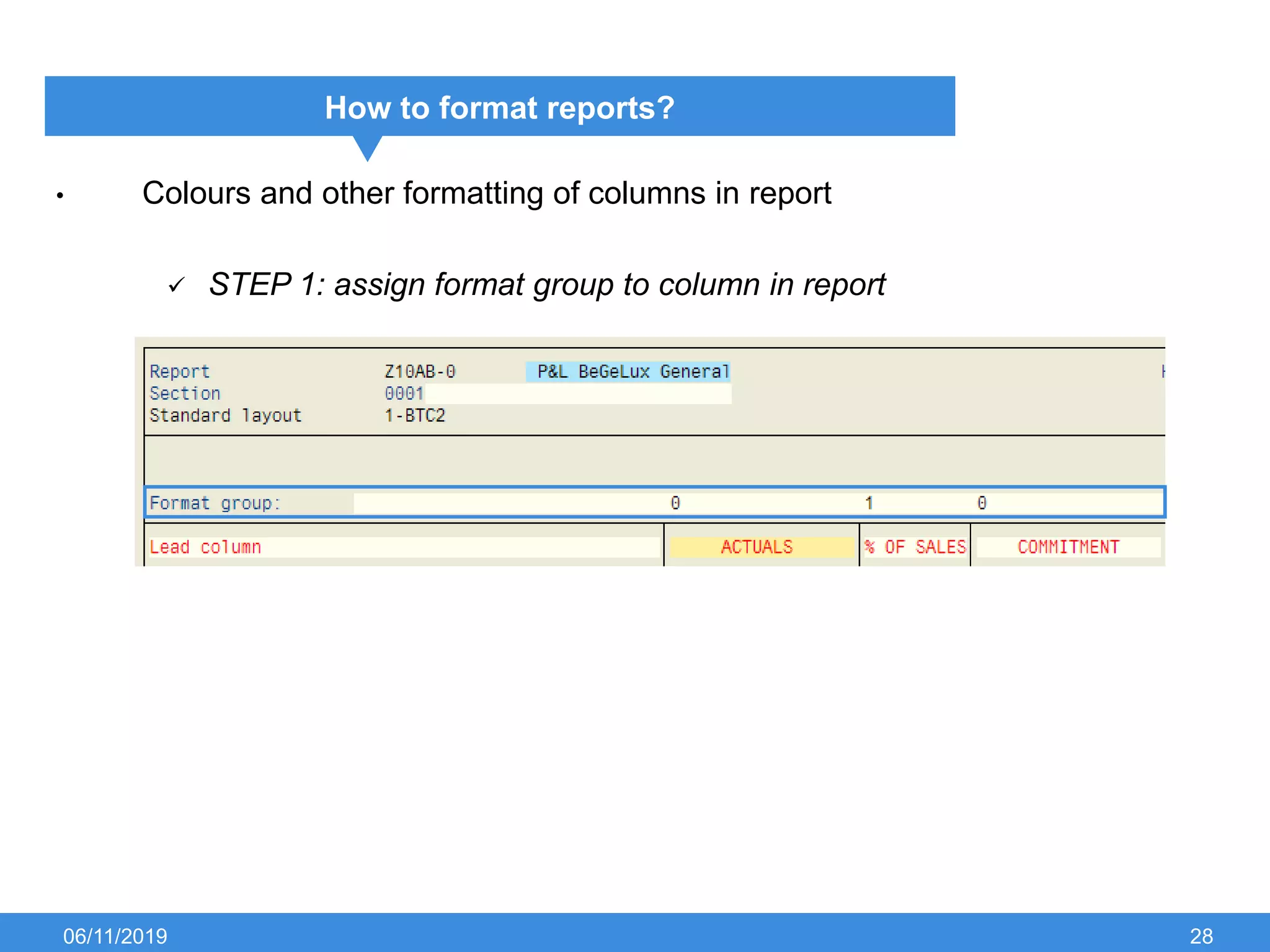 Report Painter in SAP: Introduction | PDF