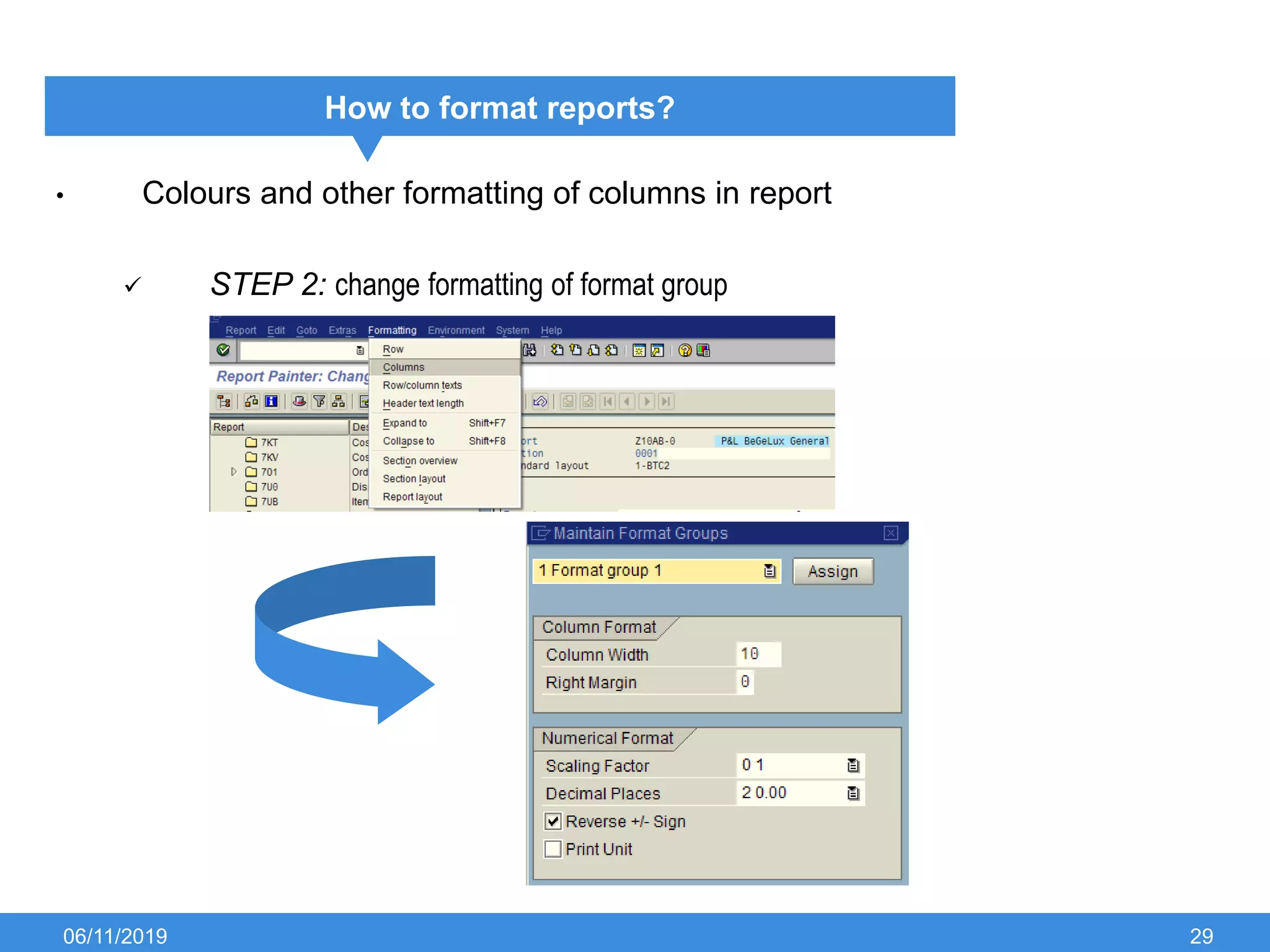Report Painter in SAP: Introduction | PDF